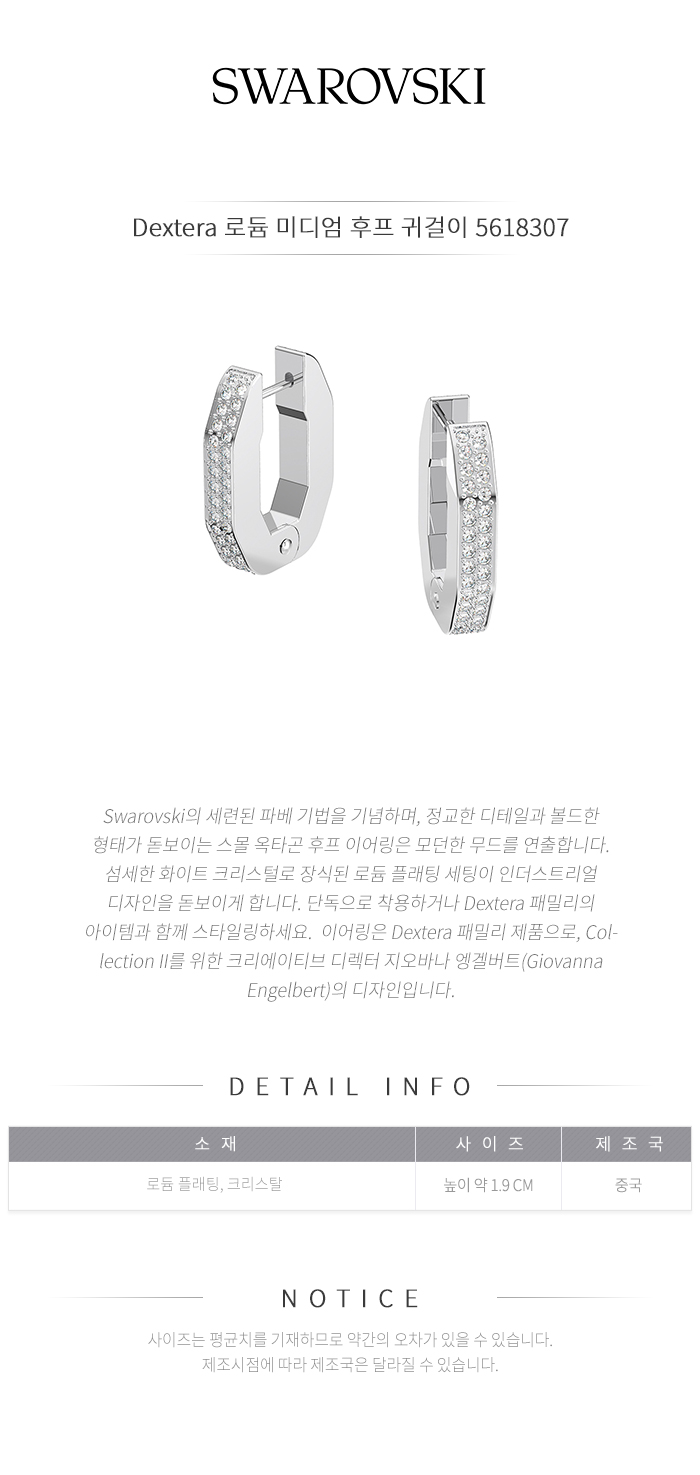 Dextera 로듐 후프 귀걸이 S 5618307 - 감도 깊은 취향 셀렉트샵 29CM